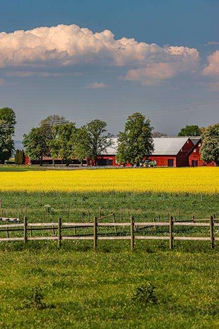 Wichtige Themen heute: 20. Dezember 2024