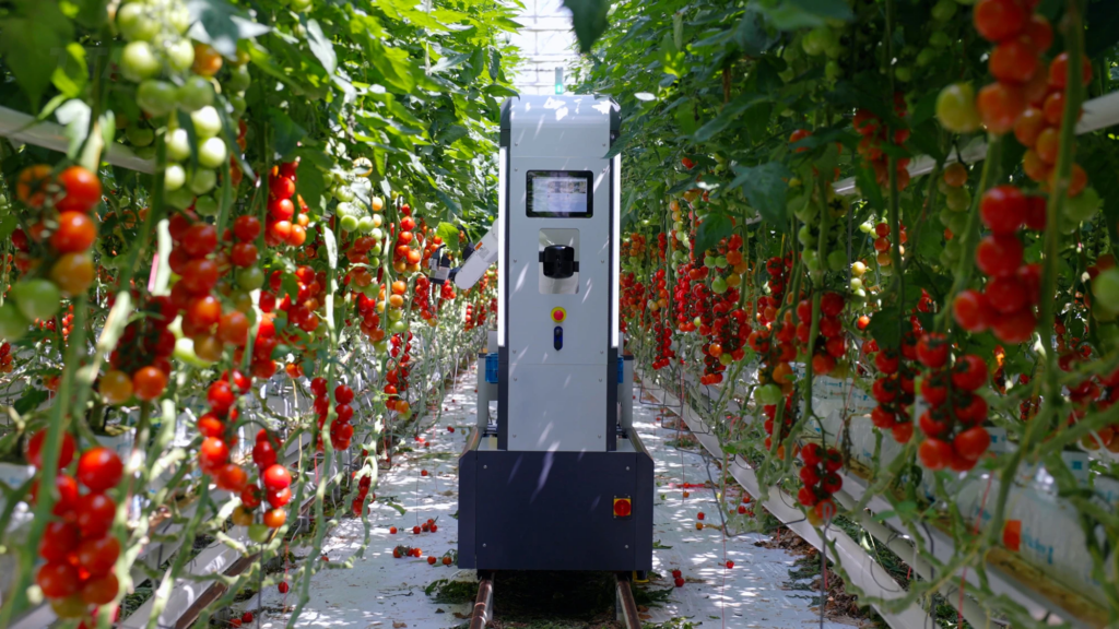 TTA-ISO präsentiert vollautomatischen Tomatenernte-Roboter