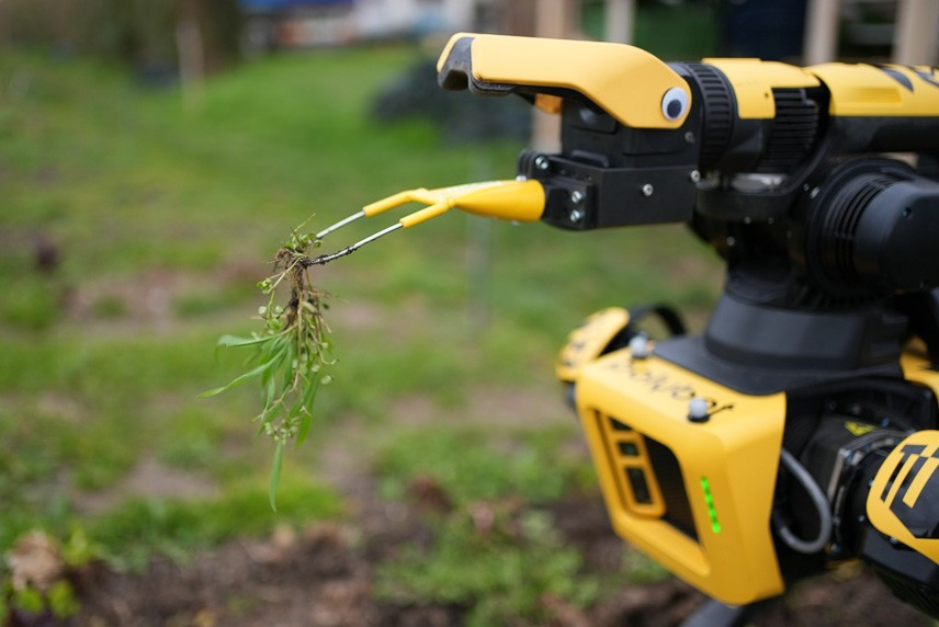 "220.000 € für KI-Ernte-Roboter: Landwirtschaft revolutionieren"